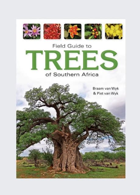 Field Guide To Trees Of Southern Africa B And P Van Wyk