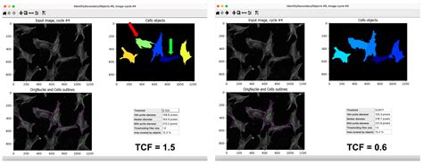 Way Lab Segmentation Software Usability And Performance Part I
