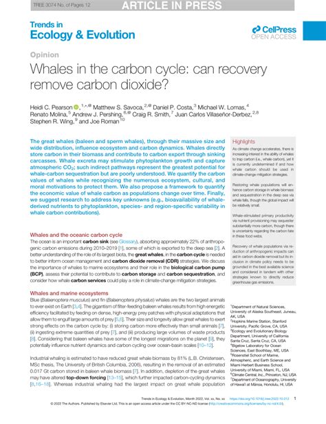 PDF Whales In The Carbon Cycle Can Recovery Remove Carbon Dioxide