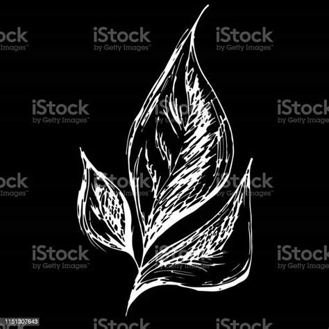 추상 베이 잎 개요 아이콘 검은 배경에 고립입니다 크리에이 티브 럭셔리 패션 기호 개념 아이콘입니다 손으로 그린 벡터 일러스트입니다 월계관 기호 그리기에 대한 스톡 벡터