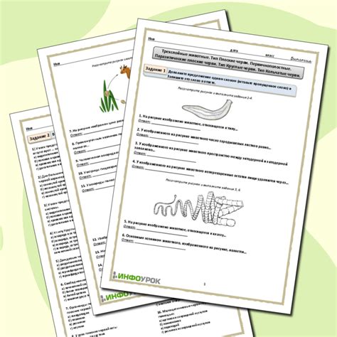 Рабочий лист Трехслойные животные Тип Плоские черви Первичнополостные Паразитические плоские