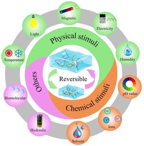 Schematic Illustration Of Hydrogel Actuators With Stimulus Responsive