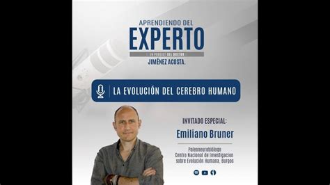 53 Emiliano Bruner El Cerebro Homo Sapiens Su Evolución Qué Nos