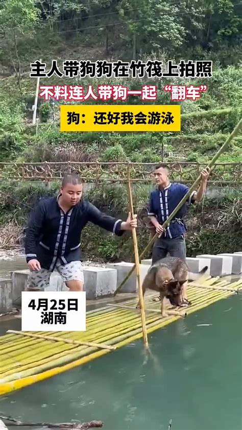 主人带狗狗在竹筏上拍照不料连人带狗一起“翻车”狗：还好我会游泳