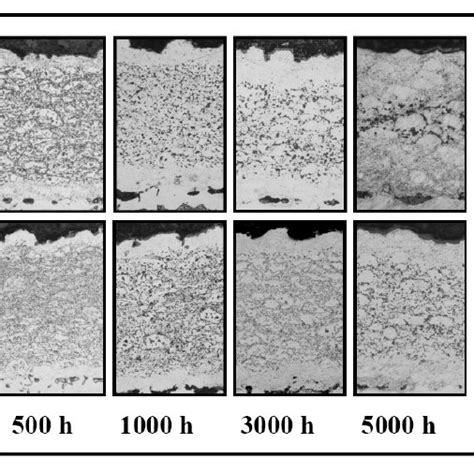 Optical Micrographs Of The Cross Sections Of The Samples Produced With