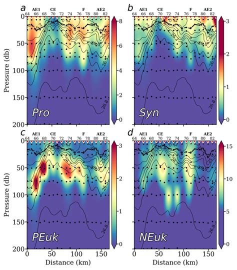 5 Vertical Distribution Of Cyanobacteria Like Prochlorococcus Pro Download Scientific