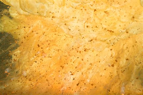 Reaction Of Powdered Zinc And Sulphur Stock Image C Science Photo Library