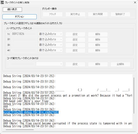 Picoctf 2024 Writeup うさみみハリケーンで解いてみた 匿名希望の方による提供