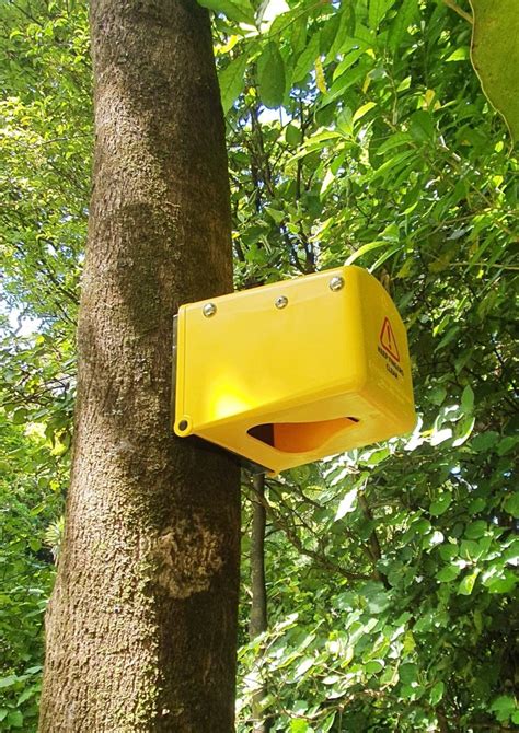 Start Backyard Trapping Predator Free Nz Trust