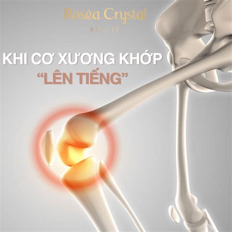 Phục Hồi Cơ Xương Khớp Tự Nhiên Với Liệu Pháp Trigger Point Chuyên Sâu