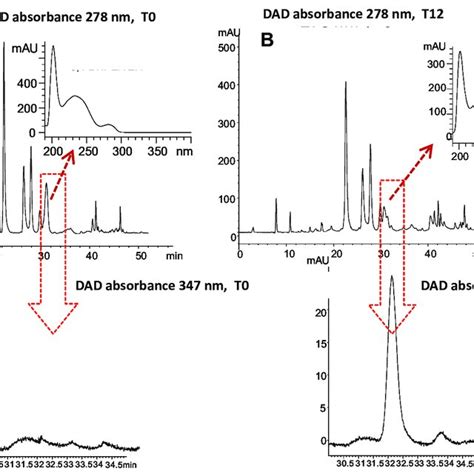 Hplc Chromatogram And Relative Absorbance Spectrum At 278 Nm And 347 Nm