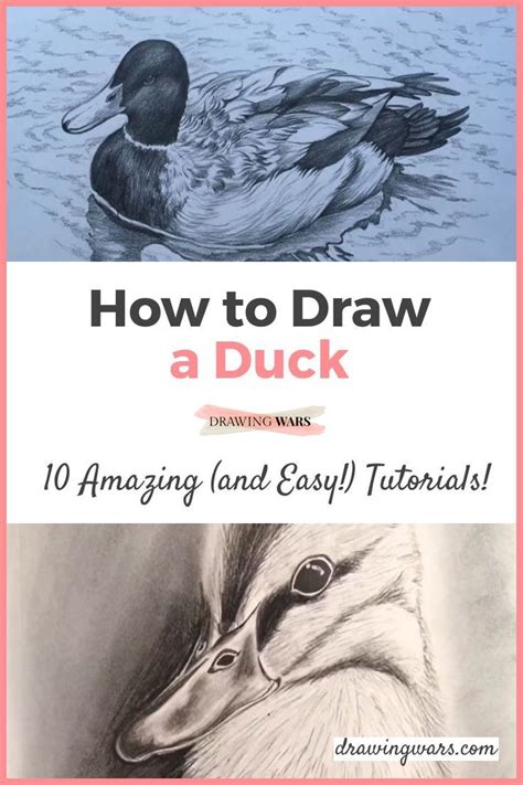 Amazing And Easy Step By Step Tutorials Ideas On How To Draw A Duck With Pencils And More