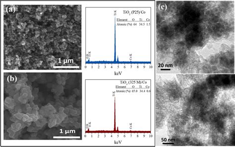 SEM Image And EDAX Spectrum Of A TiO2 P25 Co NPs And B Download Scientific Diagram