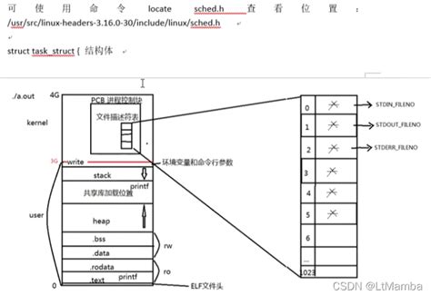 linux系统编程——系统函数（调用） linux c语言系统函数调用 csdn博客