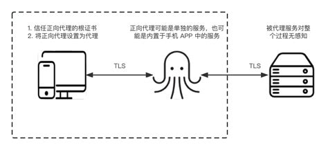 使用 Mitm 的方式，解密 流量