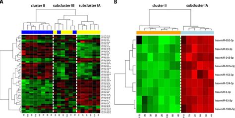 Hierarchical Clustergram Discriminating Paired Primary GSC Yellow And