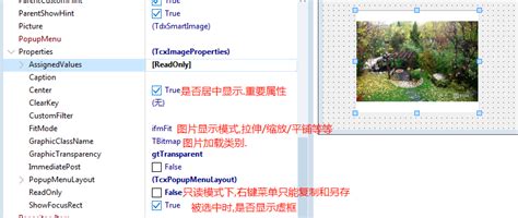 delphi 【增强型图片组件tcximage】 一曲轻扬 博客园
