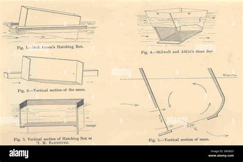 An Illustration Showing Seth Greens Hatching Box Including Vertical Sections Of The Same