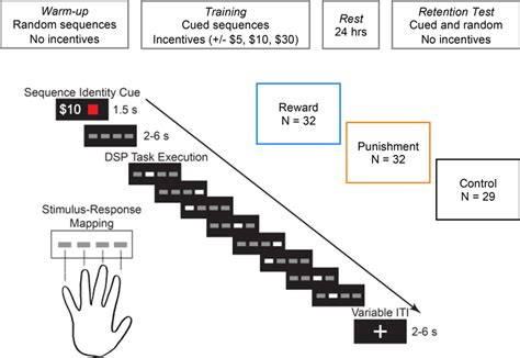 experimental design participants performed a discrete sequence