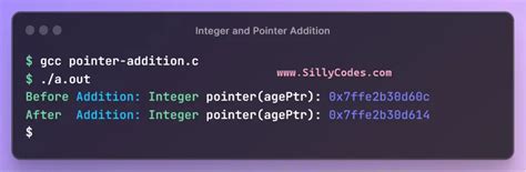 Pointer Arithmetic In C Language Sillycodes