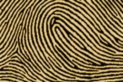 8 Most Common Types Of Fingerprints