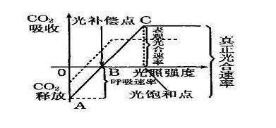 二氧化碳补偿点图册 360百科