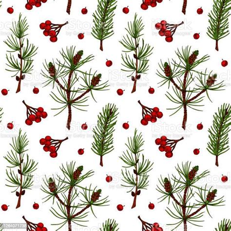 상록 나무 가지와 흰색 배경에 고립 된 붉은 열매와 손으로 그린 숲과 크리스마스 원활한 패턴 컬러 스케치 스타일의 벡터 일러스트레이션 크리스마스 포장지에 대한 스톡 벡터