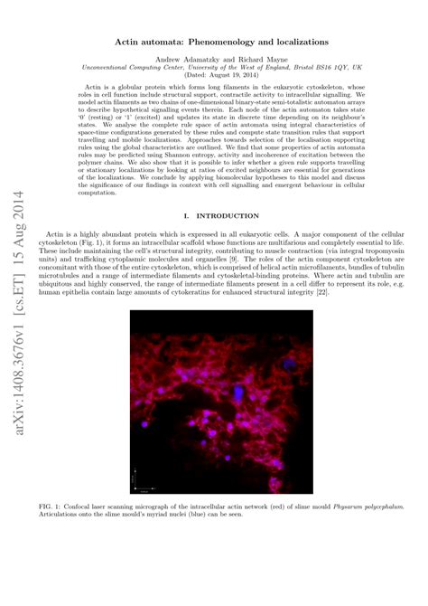 Pdf Actin Automata Phenomenology And Localizations