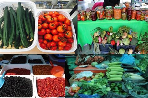 Шинэ ургацын ногооны үзэсгэлэн худалдааг 45 байршилд зохион байгуулж байна