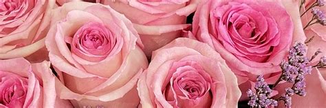 Цветы и композиции Чтобы жить нужно солнце свобода и маленький цветок Дарите цветы любимым