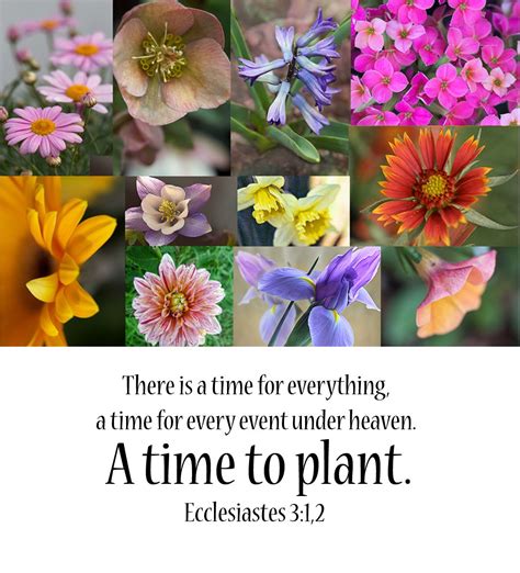 A Time To Plant ~ Ecclesiastes 312 Ecclesiastes 3 1 Good Thoughts