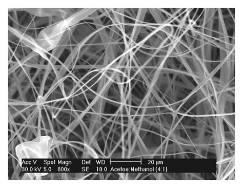 Sem Micrographs Showing The Effect Of Binary Solvent Systems On Web Download Scientific Diagram