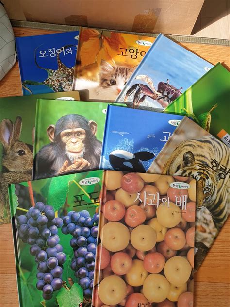 아동도서 총 17권 유아도서 당근 중고거래