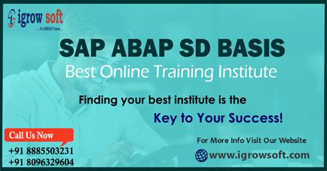 Best Sap Abap Sd Basis Training Institute In Hyderabad Best Sap Abap Sd Basis Training Institute In Hyderabad