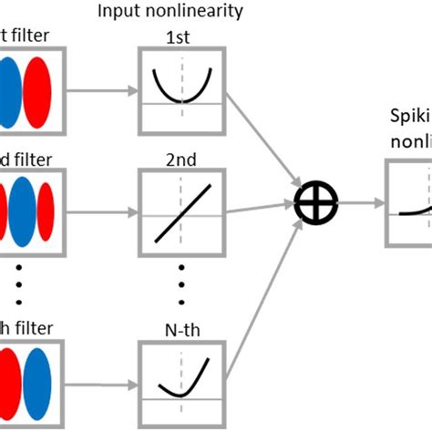 The Structure Of Nonlinear Input Model Nim The Filter And Input