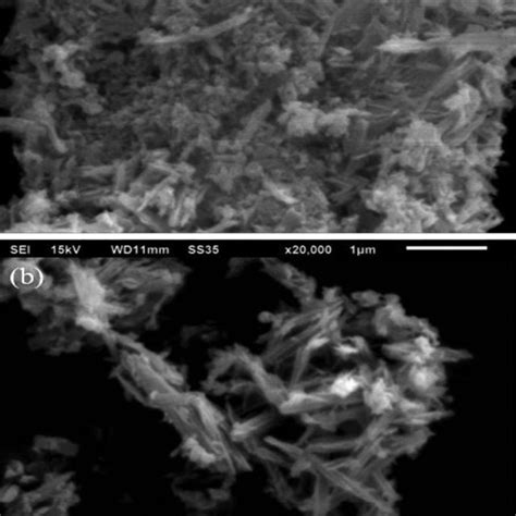 Schematic Of Mof 199 Synthesis Download Scientific Diagram