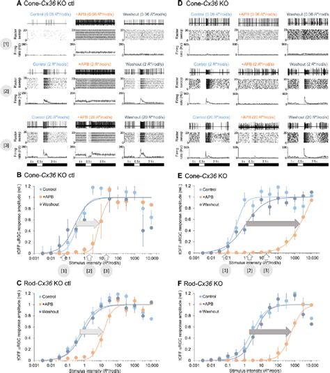 Contribution Of The Rodcone Pathway To The Retinal Output A To F Download Scientific