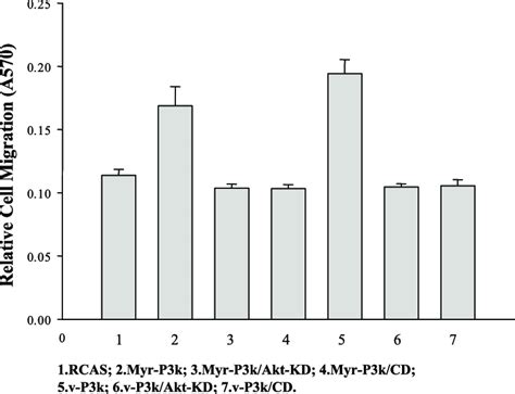 Pi3k Induces Cell Migration Through The Activation Of Akt Cef Cells Download Scientific