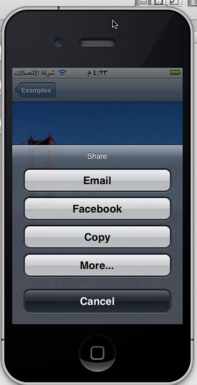 Iphone Build List Of Buttons Like In The Picture Stack Overflow