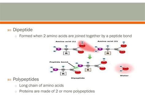Biochemistry Chapter Ppt Download