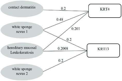 An Example Subgraph Of The Human Disease Gene Association Network The Download Scientific