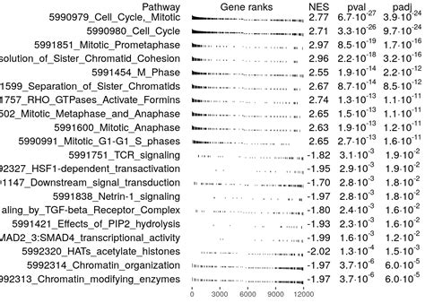 Using The Fast Preranked Gene Set Enrichment Analysis Fgsea Package