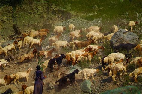 An Interview With Hafsa Javed For Pak Sar Zameen” A Twisted Love Letter To The Homeland The