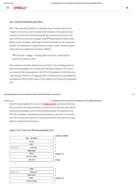 is is extensions for ipv6 ospf and is is choosing an igp for large scale networks pdf i