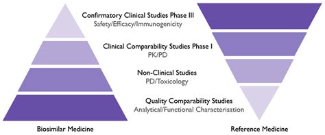 Biosimilar Medicines From Development Process To Marketing
