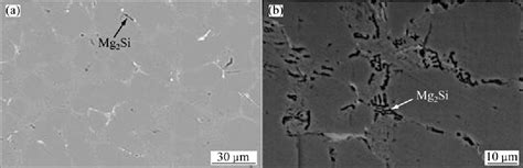 Figure 2 From Effect Of Mg And Semi Solid Processing On Microstructure