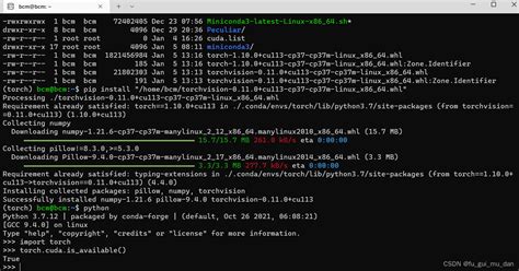 Wsl2 安装 Cuda（win11） Win11 Wsl2 安装cuda Csdn博客