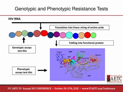 Ppt Resistance Testing Where Do I Start Powerpoint Presentation