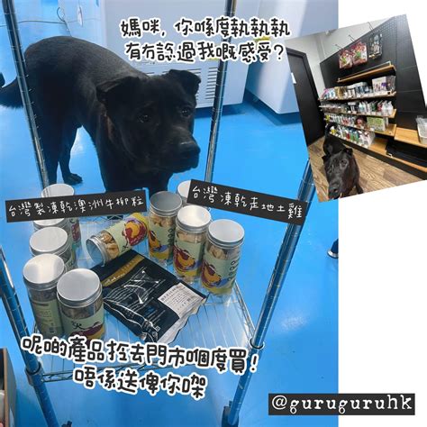 夜晚特登揸車返屋企，帶返我嘅糧食之柱（打雜3號）返嚟公司開夜車😂😂😂 瓹窿瓹罅
