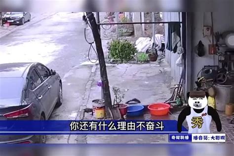 监控下的真实搞笑瞬间要是没有监控谁会相信这些呢 监控 瞬间